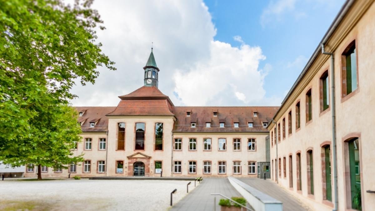 Comité de direction | Institut national du service public | INSP